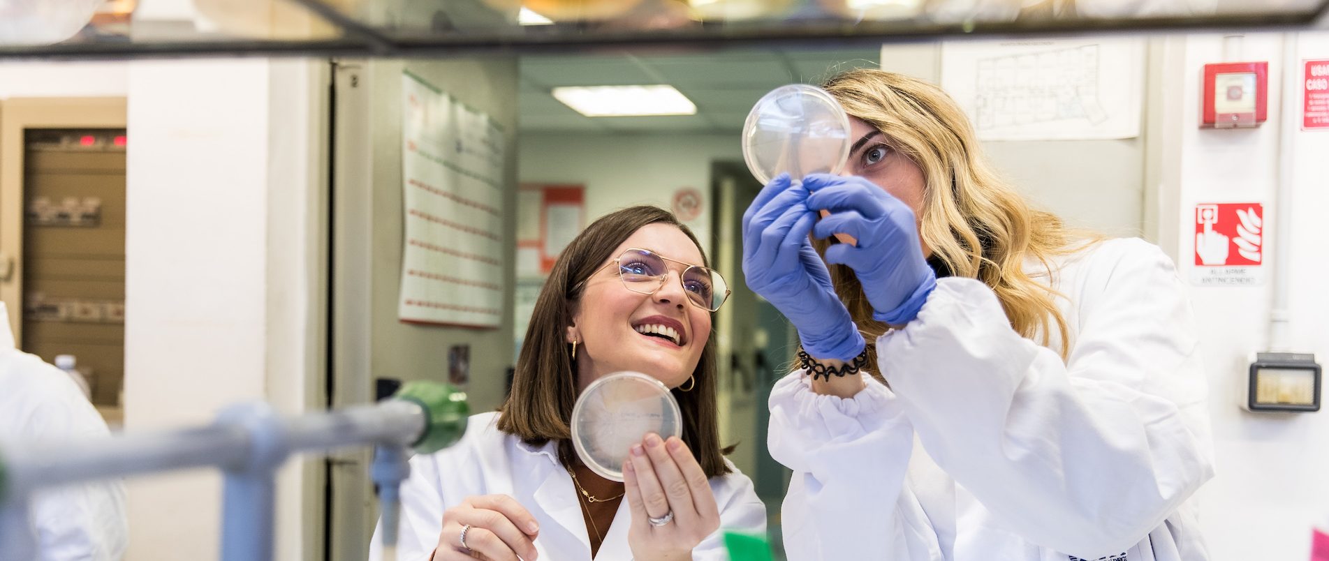 Choose your course - Orientarsi a Roma Tre